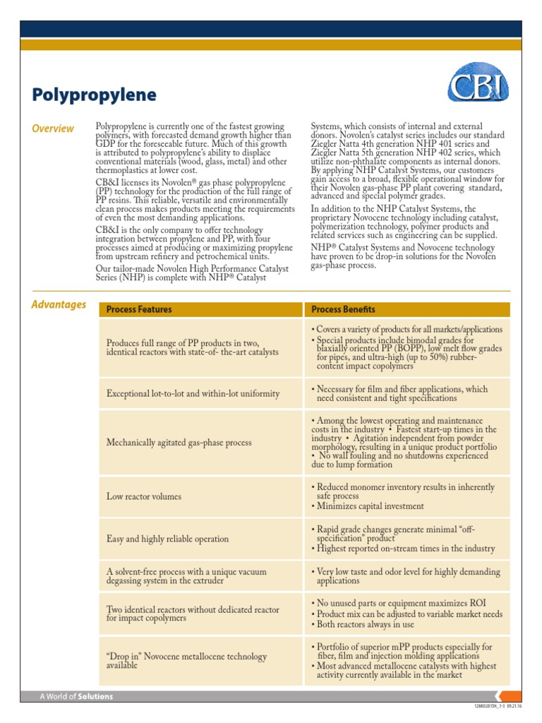 Cbi Polypropylene Rev1 3 Final | PDF | Chemical Reactor | Polymers