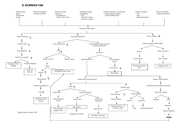 Pathway CKD Print | PDF