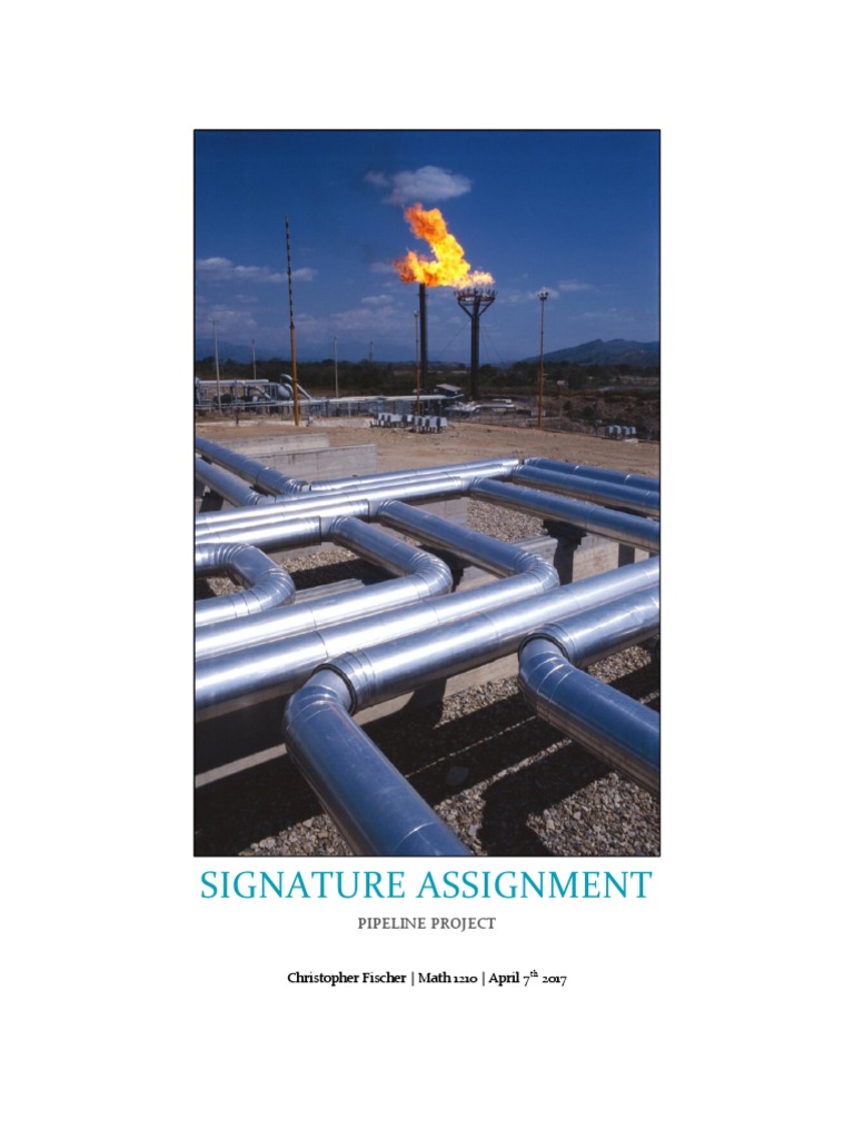 Sig Project Reduxpdf | PDF | Teaching Mathematics | Science