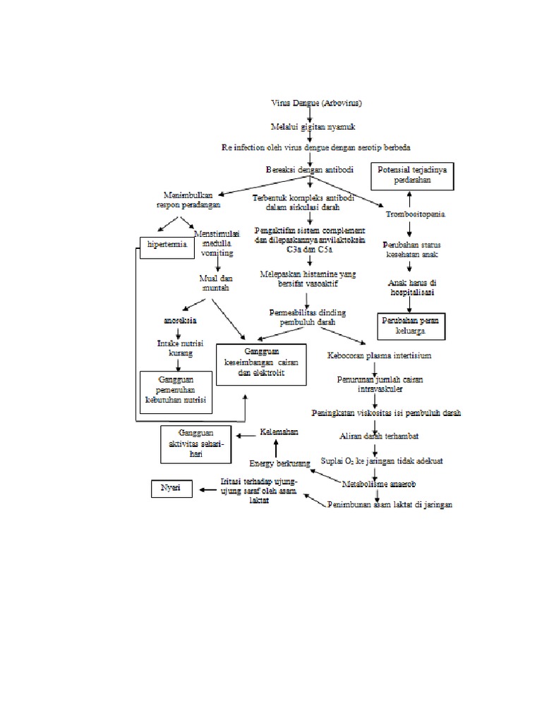 Dss Pathway 2 | PDF