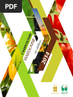 Plan Maroc Vert : Enjeux et Perspectives | PDF | Maroc | Agriculture