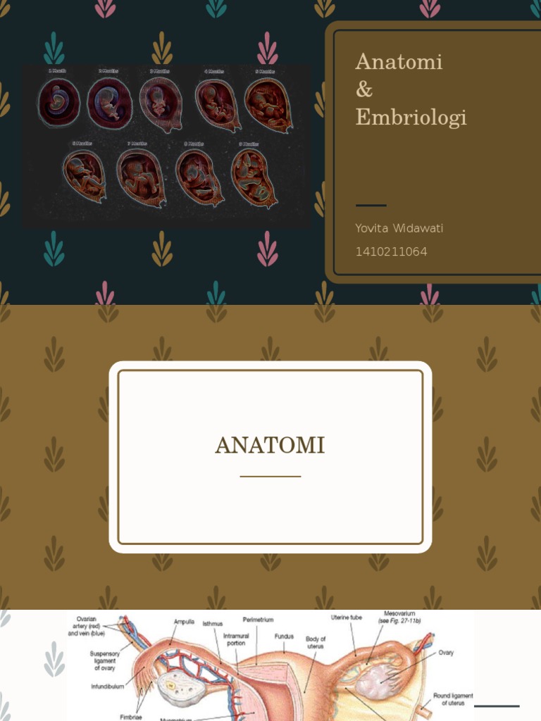 Anatomi & Embriologi Wanita | PDF