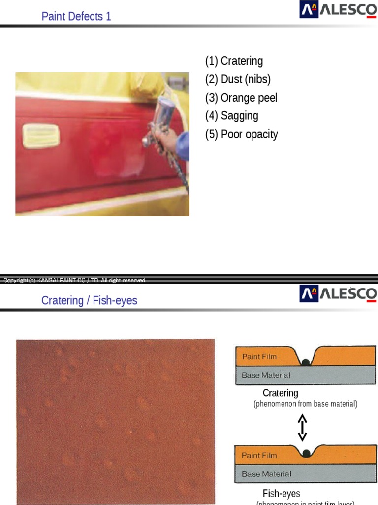 Paint Defects 1: (1) Cratering (2) Dust (Nibs) (3) Orange Peel (4 ...