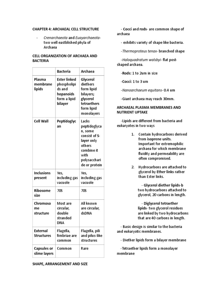 Chapter 4 Archaea | PDF | Archaea | Bacteria