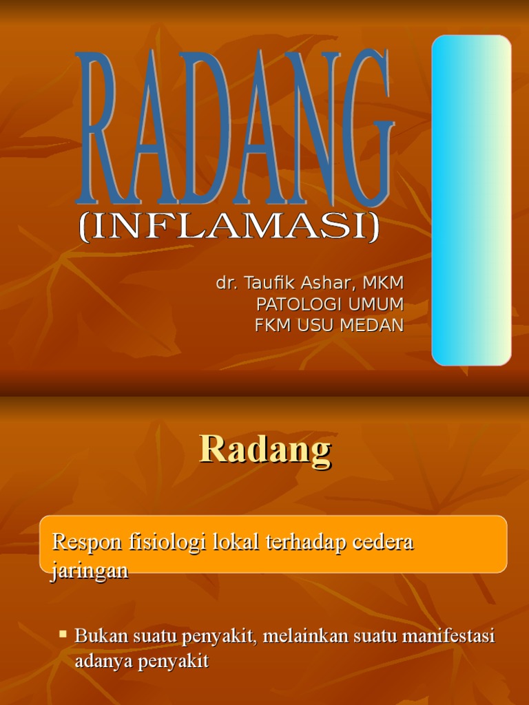 RADANG | PDF
