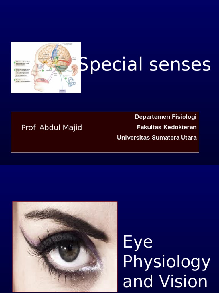 Slide FS - Eye Physiology (Vision) Part II | PDF | Visual System | Retina