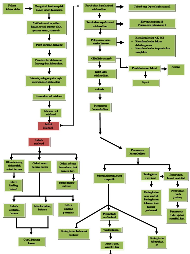Patofisiologi STEMI | PDF
