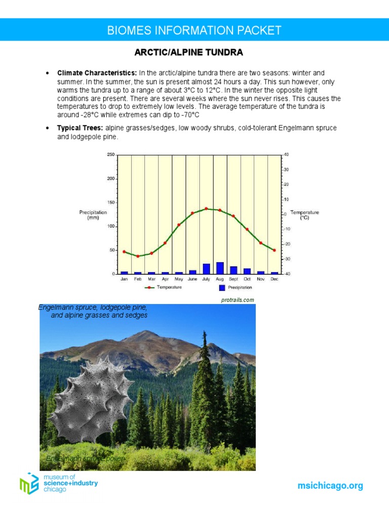 Biomes Information Packet | PDF | Climate | Forests