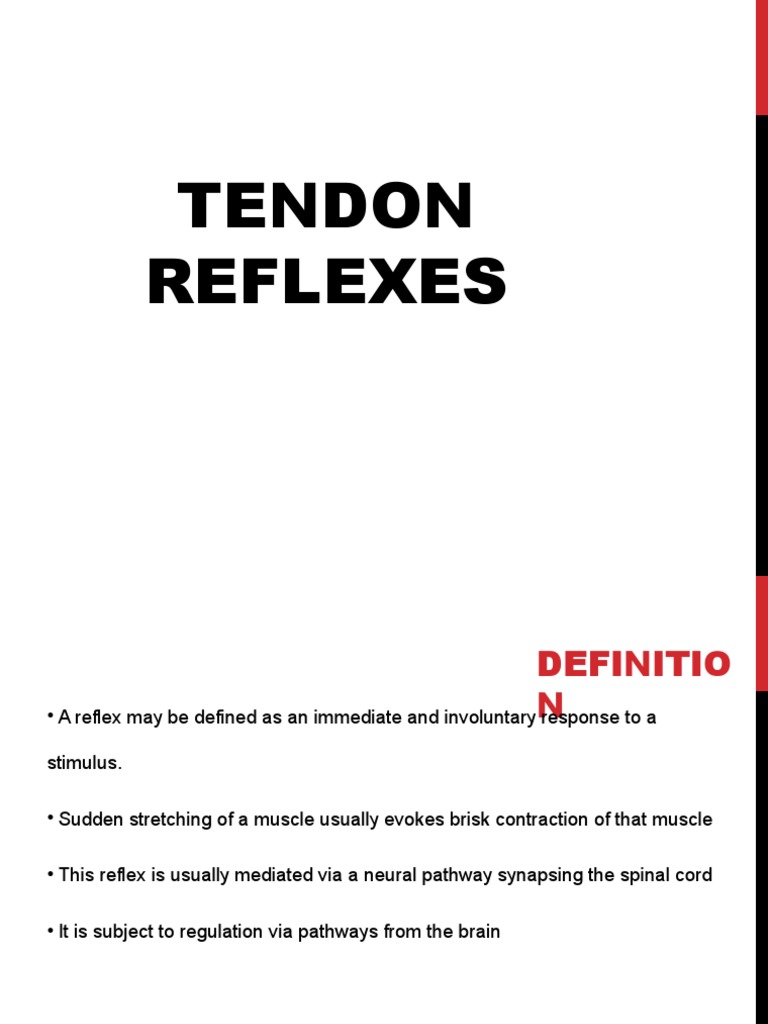 Tendon Reflex | PDF | Anatomical Terms Of Motion | Elbow