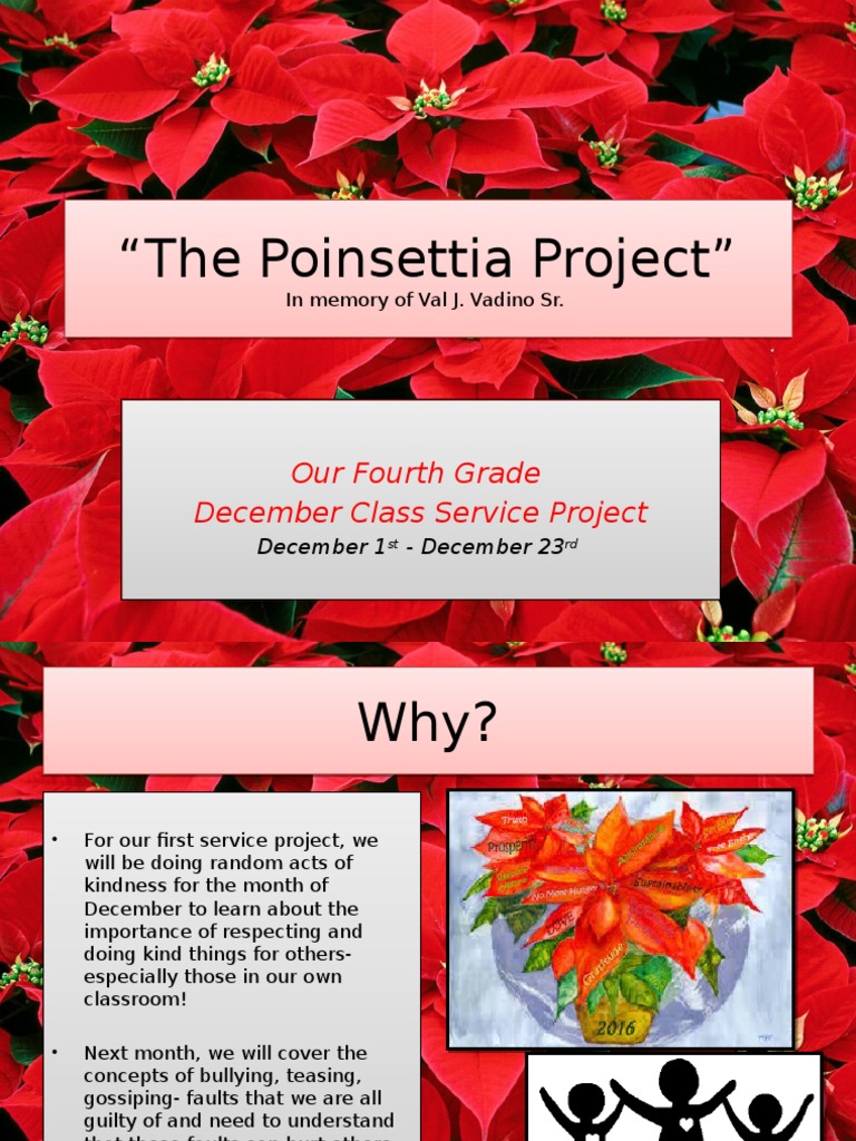 The Poinsettia Project Power Point Presentation | PDF | Advent