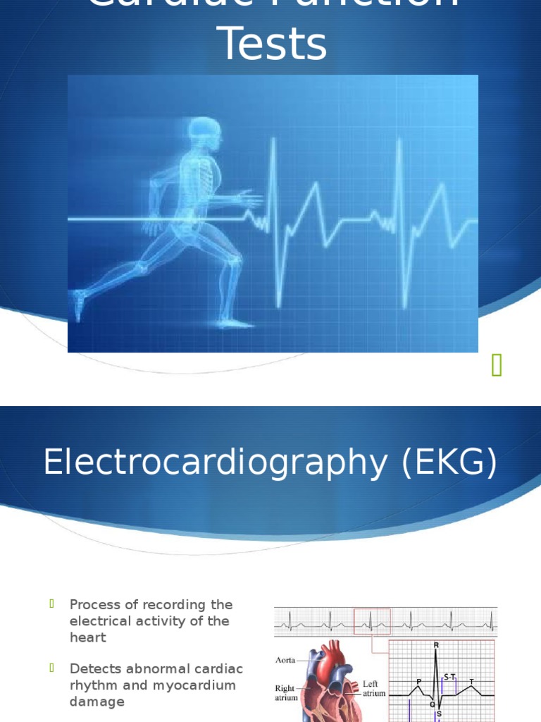 Overview of Cardiac Function Tests | PDF | Heart | Electrocardiography