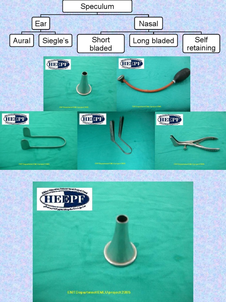 ENT | Human Head And Neck | Surgery