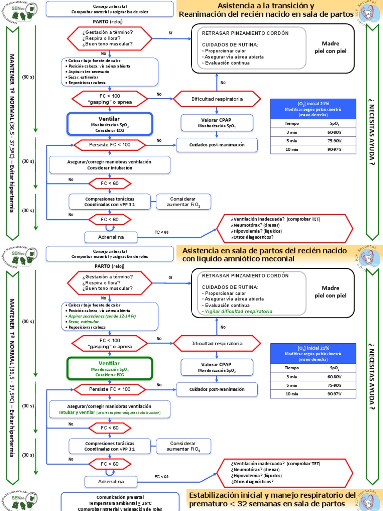 Algoritmos RCP Neonatal 2016 | PDF | Reanimación cardiopulmonar | Medicina CLINICA