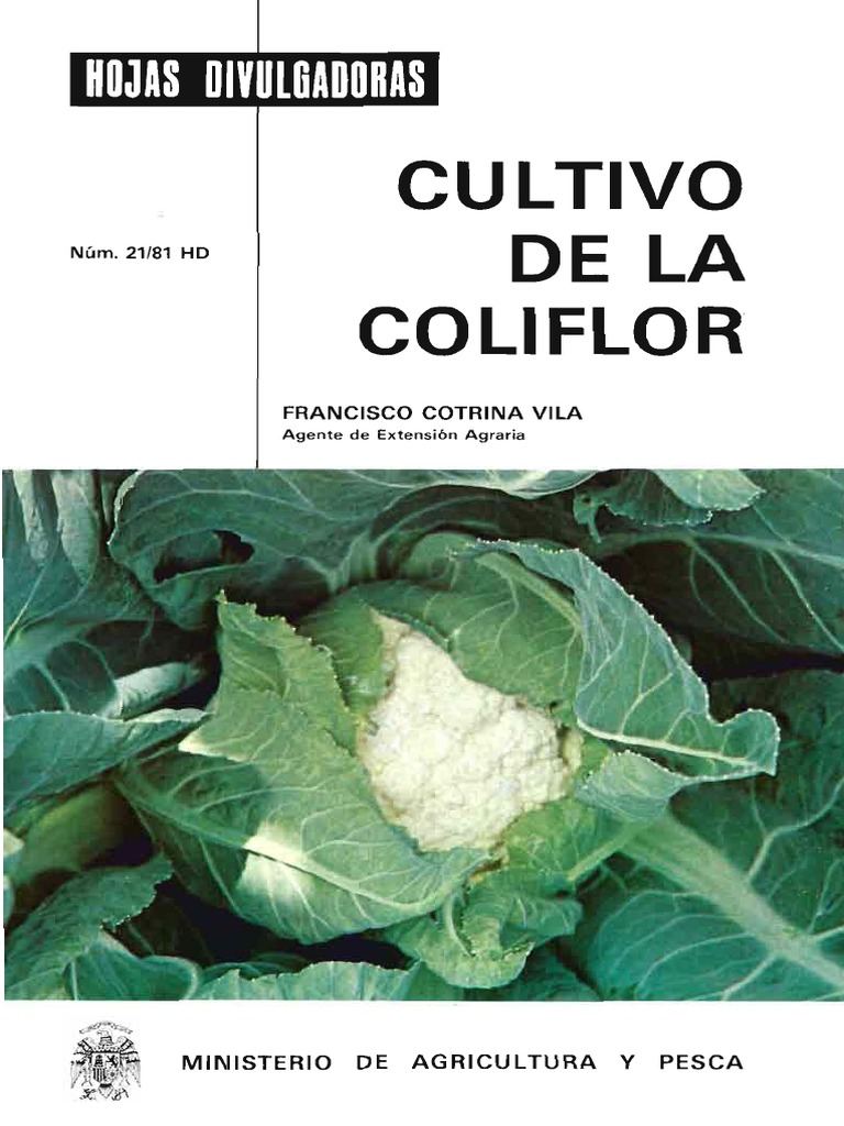 Cosecha Coliflor | PDF | Insectos | Fertilizante