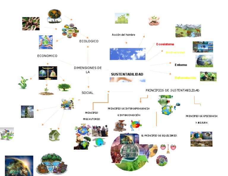 Mapa Mental Desarrollo - SUST | PDF
