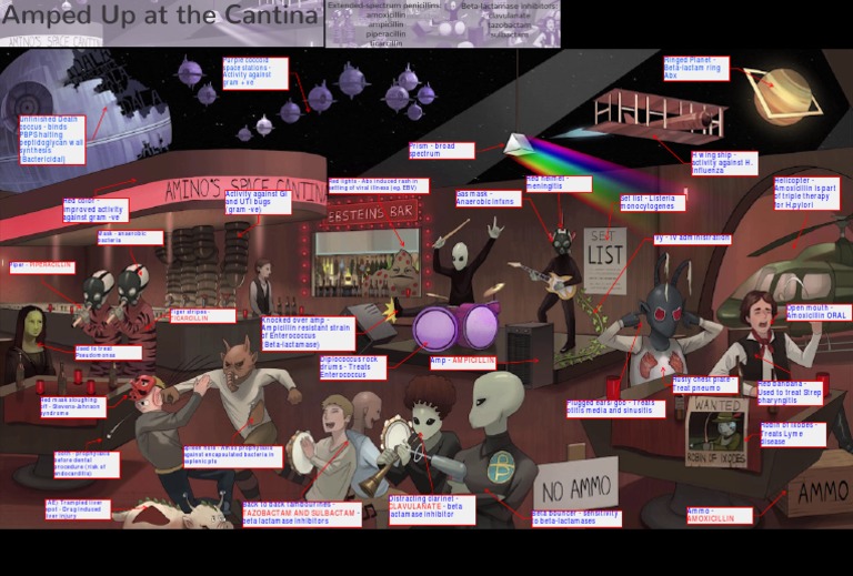 Ampicillin, Amoxicillin, Piperacillin, Ticarcillin | Beta Lactamase | Rtt