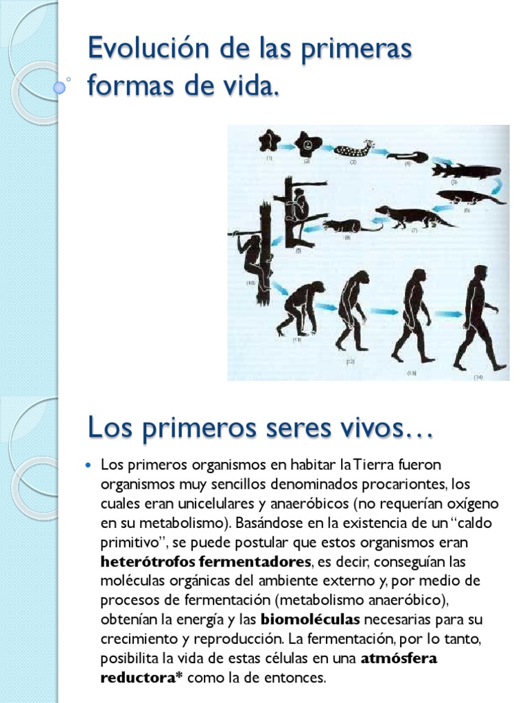 Evolución de Las Primeras Formas de Vida | PDF | Eucariotas | Procariota
