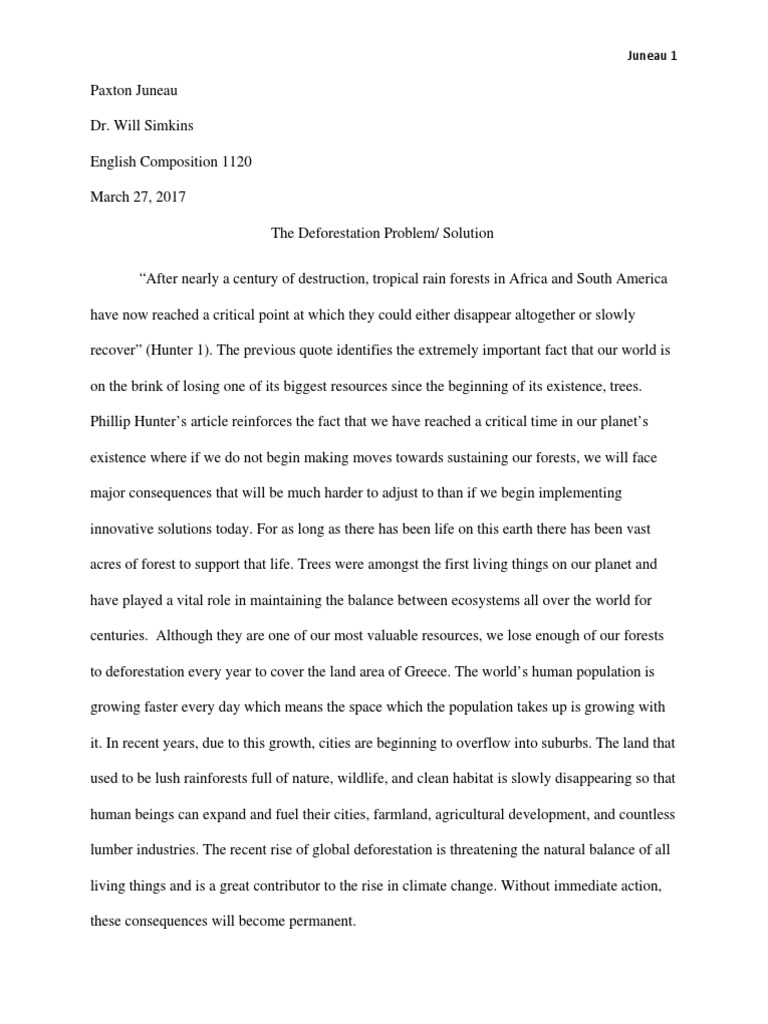 Problem Solution | PDF | Deforestation | Amazon Rainforest