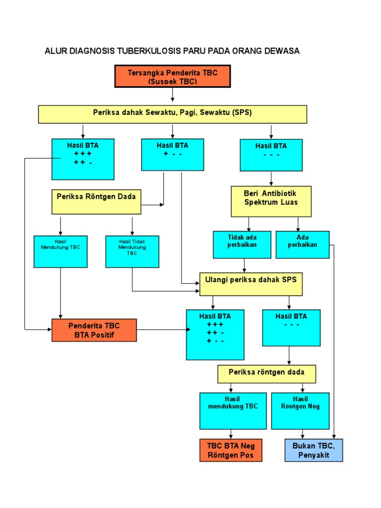 Alur Diagnosis Tuberkulosis Paru Pada Orang Dewasa | PDF