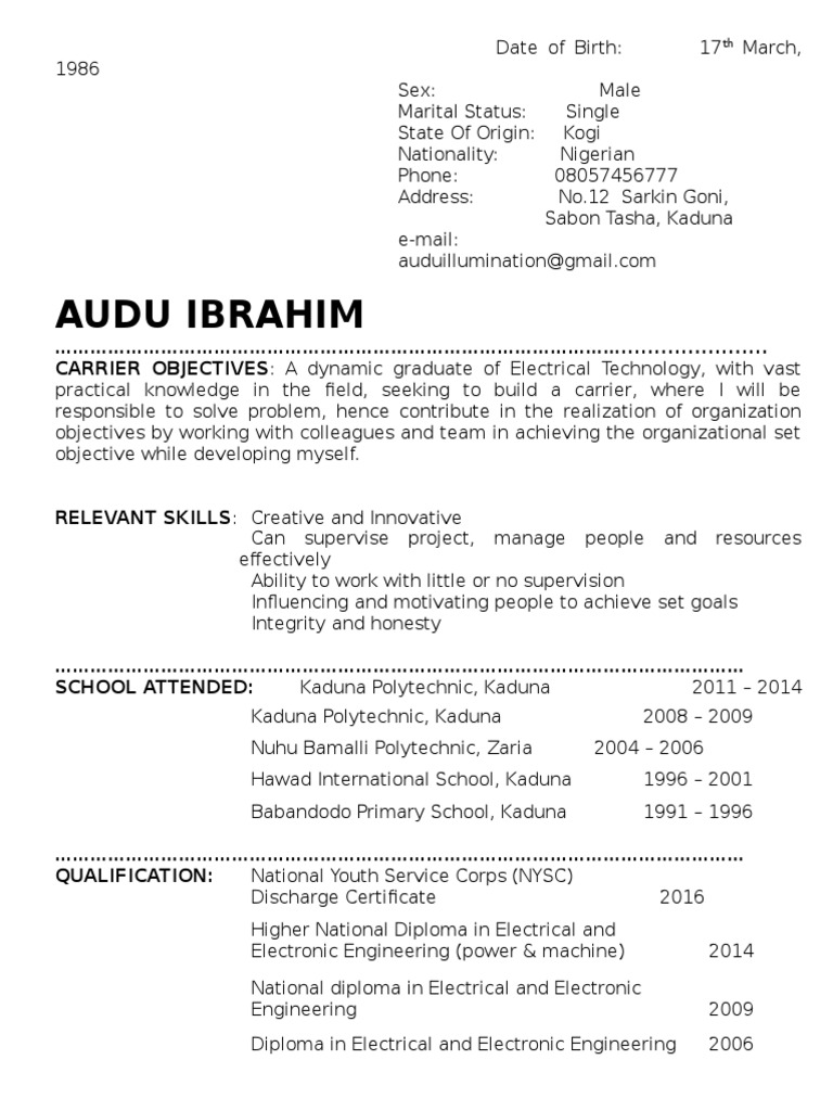 Audu Ibrahim CV | PDF | Electrical Wiring | Relay