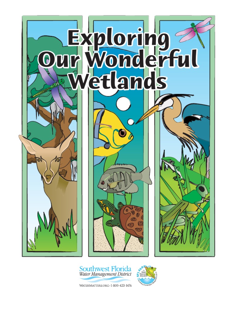 Exploring Our Wonderful Wetlands: Student Grades 4-7 | PDF | Marsh ...
