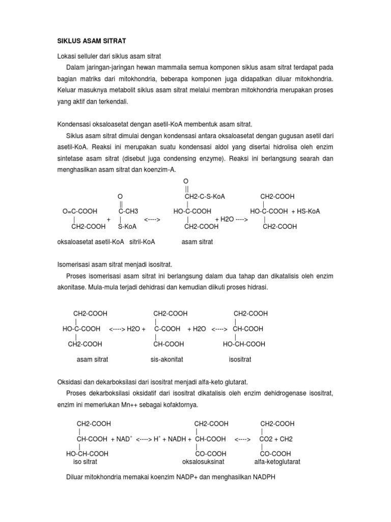 3 Siklus Asam Sitrat | PDF