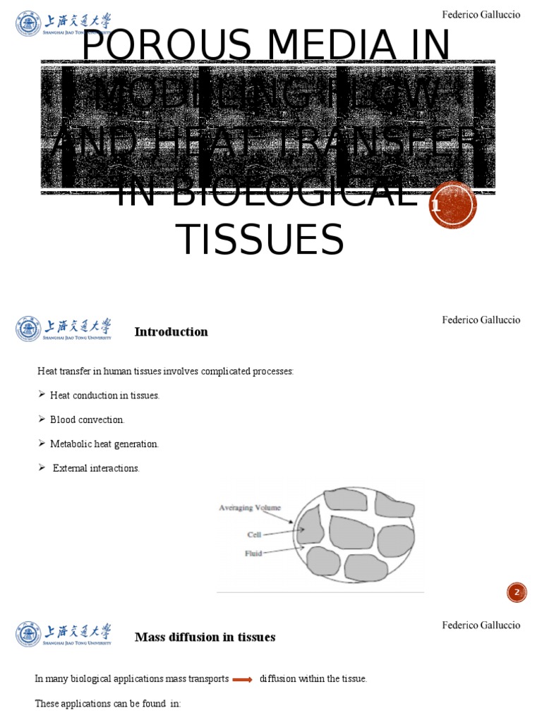 Porius Media Biological Tissue 2 | PDF