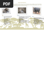 List of Proverbs Translated From Xitsonga To English: A Free Dictionary ...