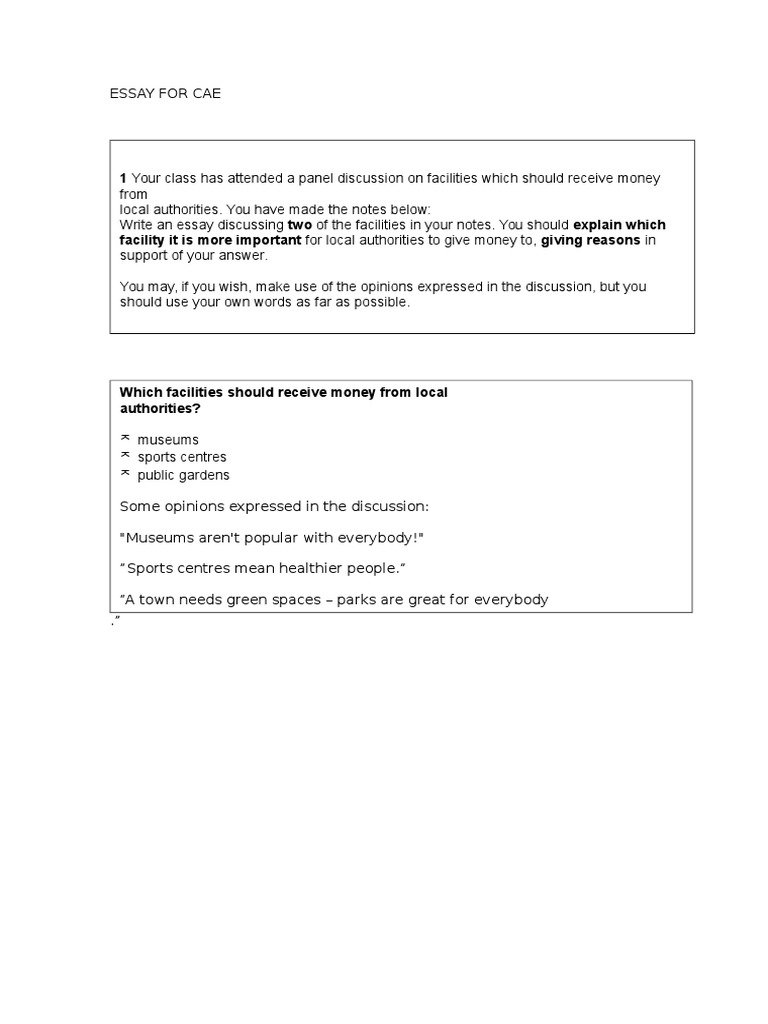 Essay Cae Sample Answer | PDF