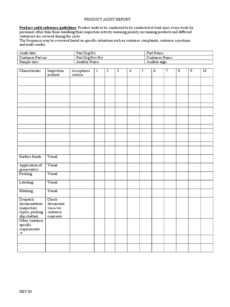 Product Audit Format | PDF