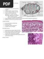 64 Cunnilingus - 101 - How - To - Eat - Pussy - and - Give - Her ...