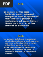 Proyecto de Aula Una Flor para La Convivencia | PDF | Salón de clases | Tolerancia