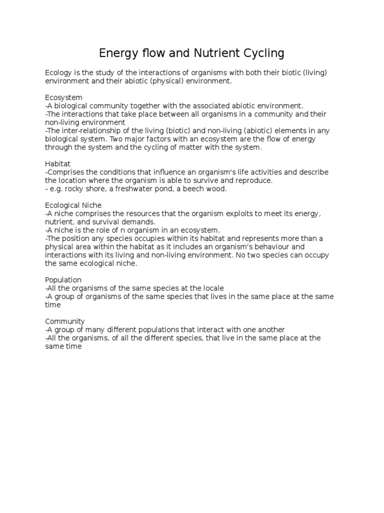 Energy Flow and Nutrient Cycling | PDF | Ecological Niche | Ecology