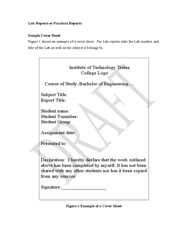 Guidelines For Laboratory Reports & Practicals Write-Ups - Sorted | PDF