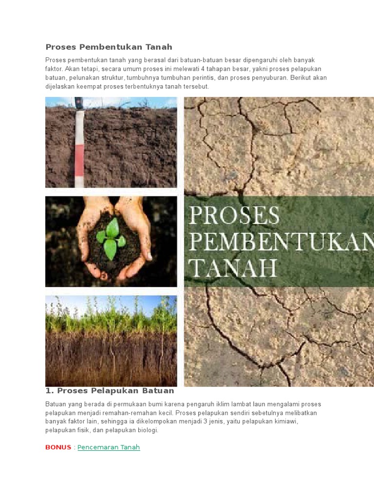 Proses Pembentukan Tanah