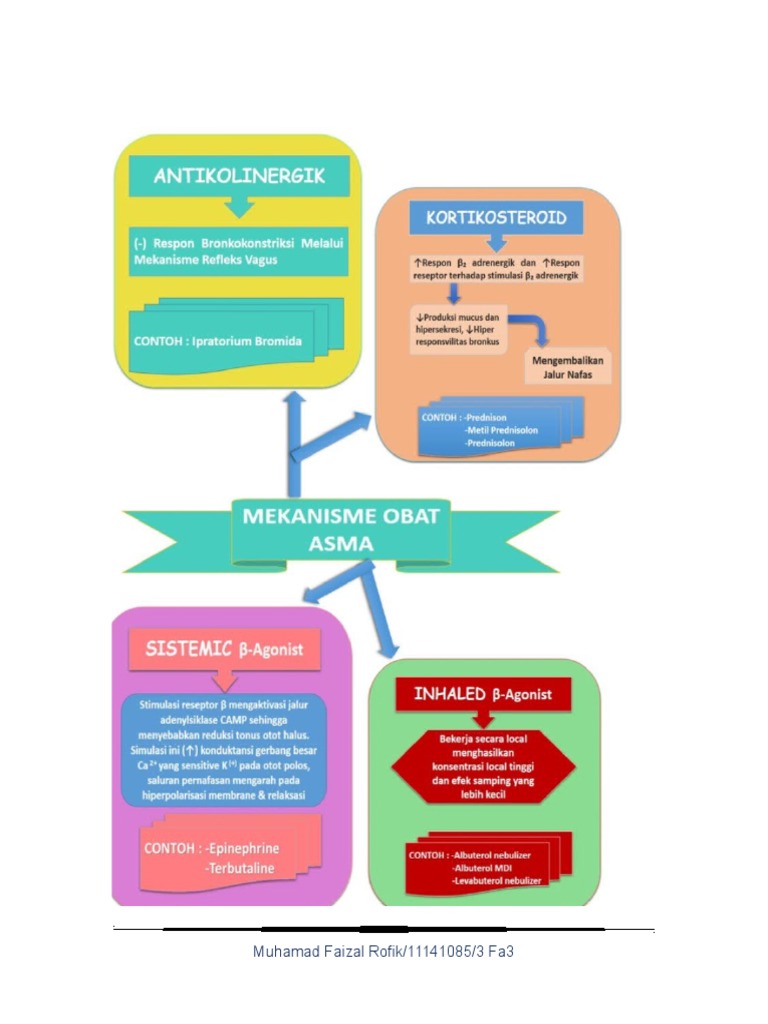 Laporan Mapping Asma | PDF