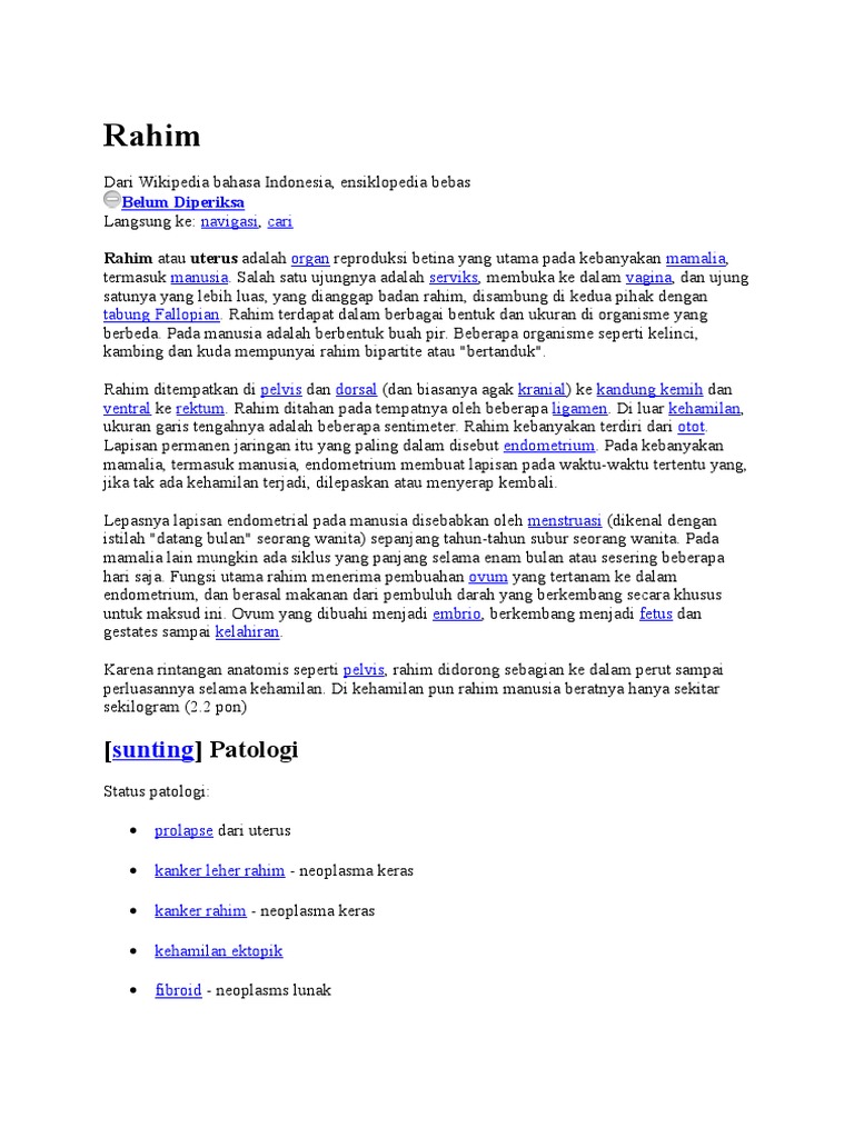 Anatomi Fisiologi Rahim | PDF