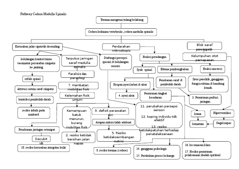 Pathway Cedera Medulla Spinalis | PDF