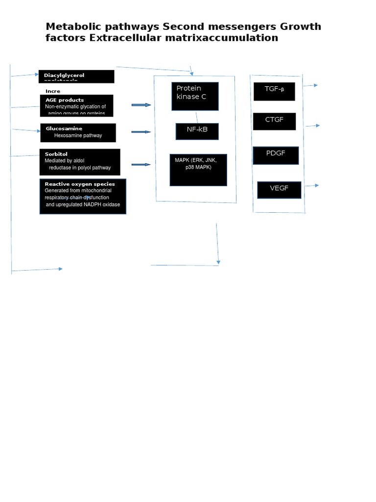 Metabolic Pathways Second Messengers Growth Factors Extracellular ...