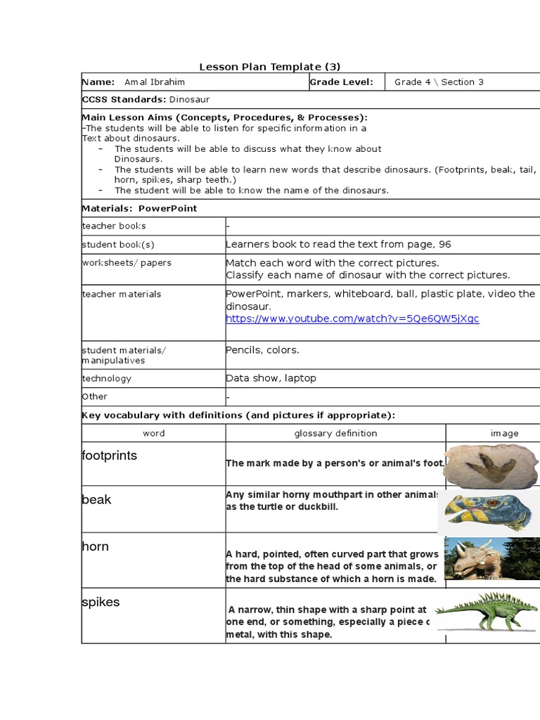 Lesson Plan 3 | PDF | Lesson Plan | Cognition