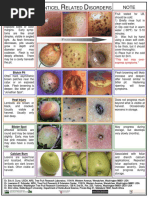 Von Post Humification Scale | PDF | Decomposition | Biodegradable Waste ...
