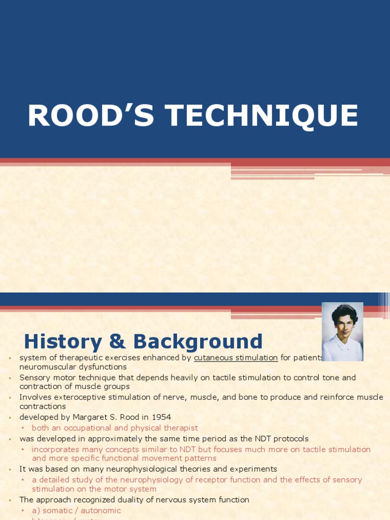 Rood's Technique for Neuromuscular Rehab | PDF | Anatomical Terms Of ...