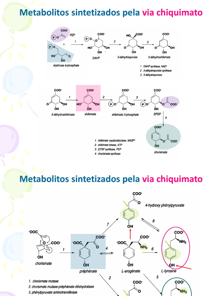 14 Fenois Simples | PDF | Éster | Moléculas