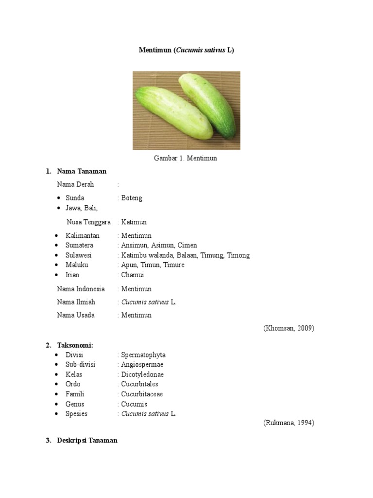 Mentimun | PDF | Kesehatan Holistik