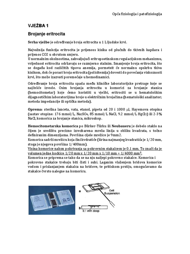 Vjezba 1 I 2 - Fiziologija-Priprema | PDF