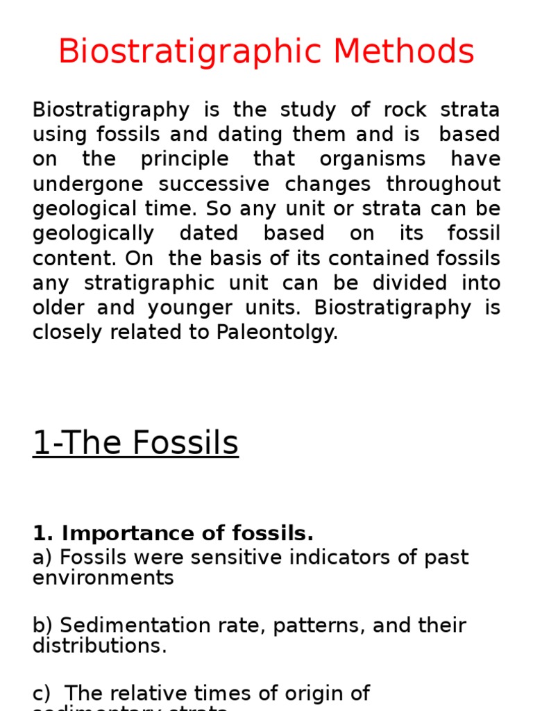 Biostratigraphy Methods | PDF