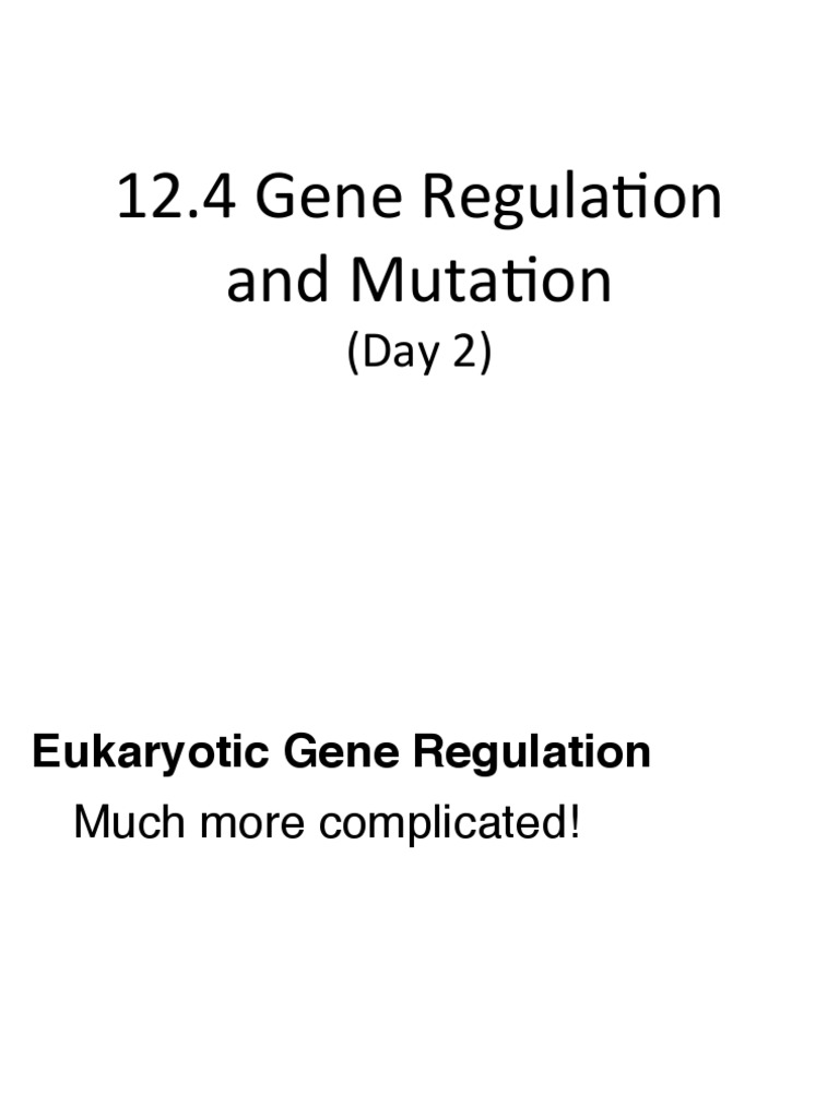 12-4 Gene Regulation and Mutation | PDF | Gene | Mutation