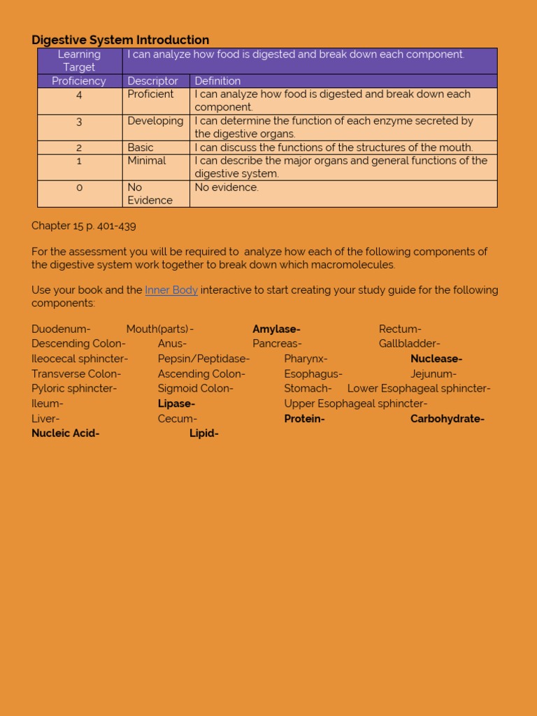 Digestive System Introduction | PDF | Human Digestive System | Stomach