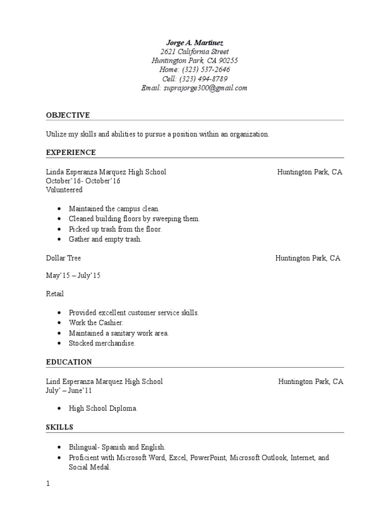 Jorge A. Martinez Resume Summary | PDF