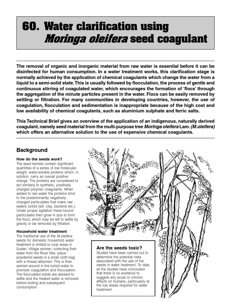 Water Clarification Using Moringa Oleifera Seeds | PDF | Water Purification | Chemistry